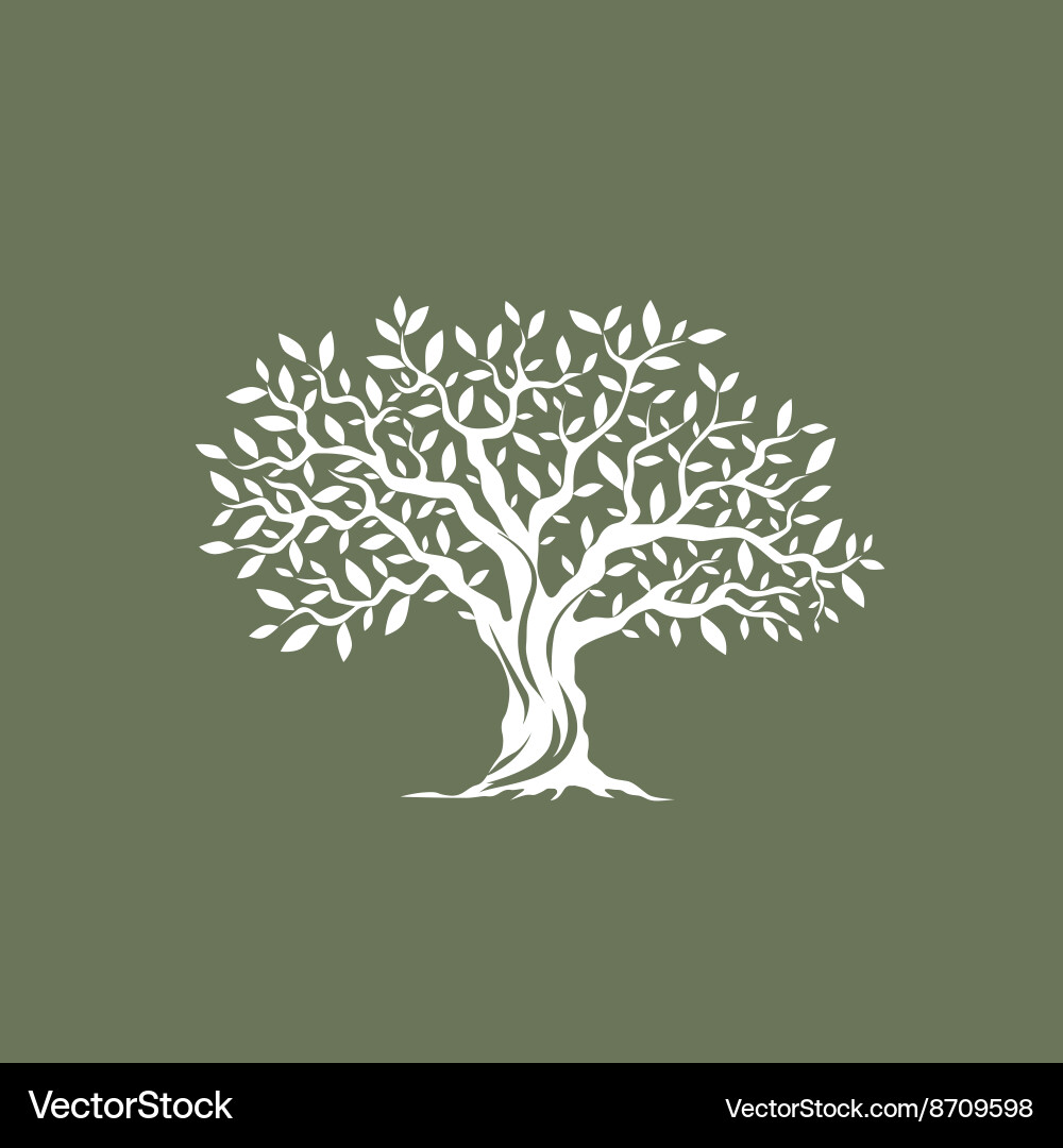 Olive Tree Silhouette Royalty Free Vector Image