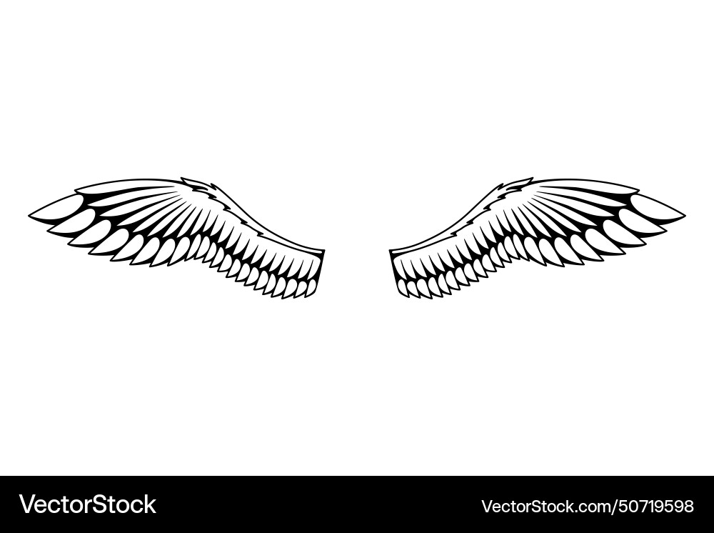 Wings sketch stylized birds hand drawn Royalty Free Vector