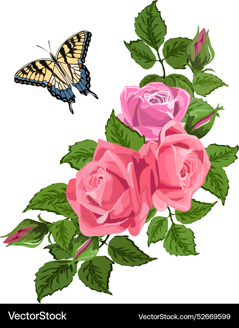 Bouquet of roses Royalty Free Vector Image - VectorStock
