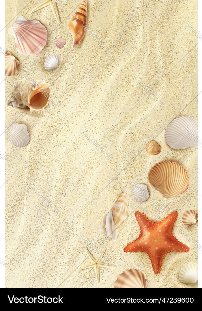 Realistic beach seaside top view with seashells Vector Image