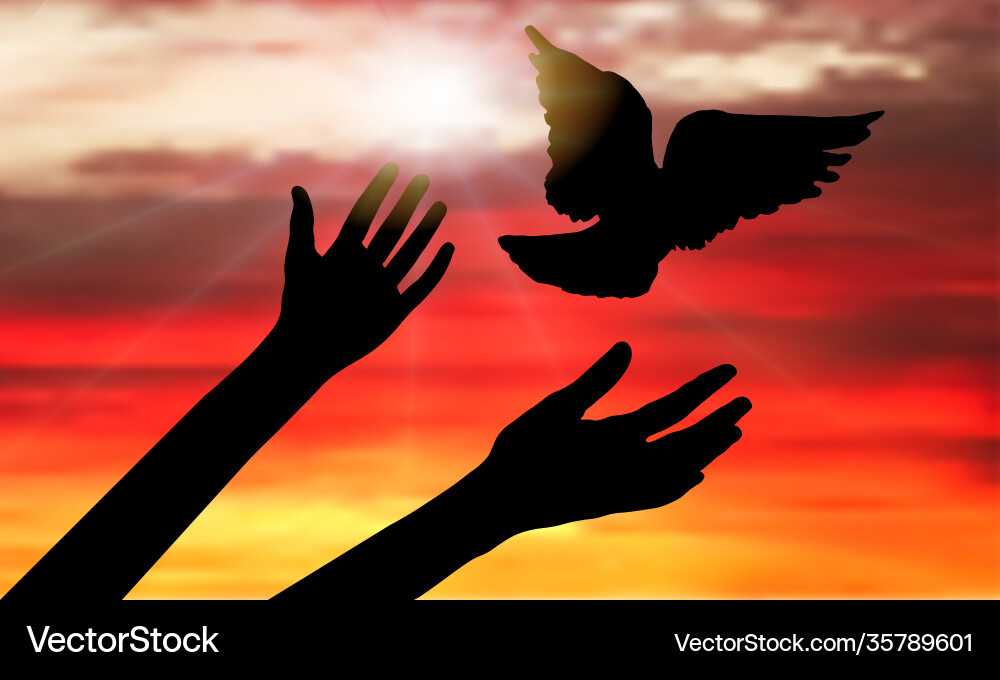 Silhouette flying bird from womans hands Vector Image