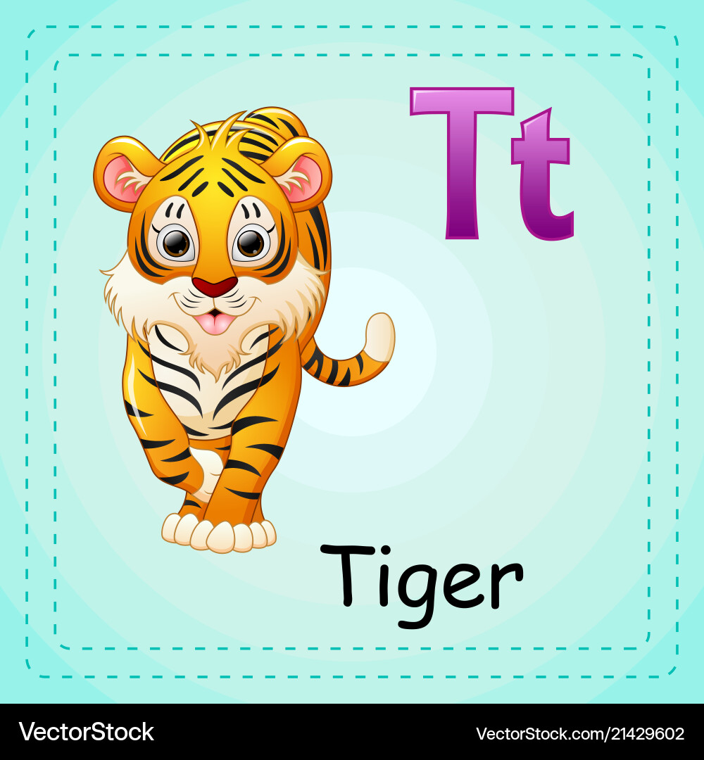Animals alphabet t is for tiger Royalty Free Vector Image