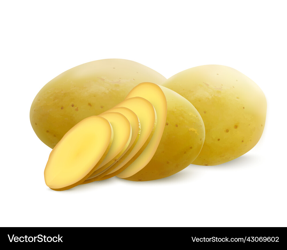 Realistic sliced potato composition Royalty Free Vector