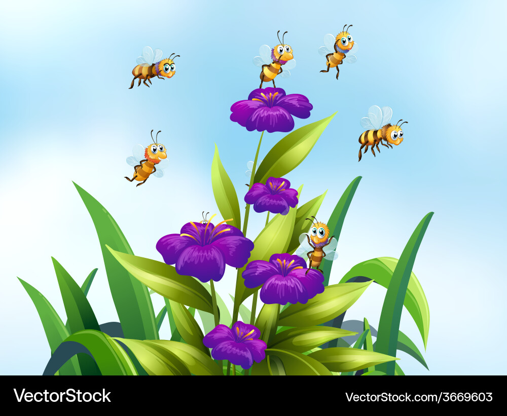 Bees and flower Royalty Free Vector Image - VectorStock