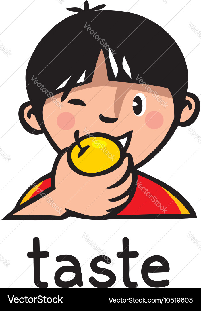 Taste sense icon Royalty Free Vector Image - VectorStock
