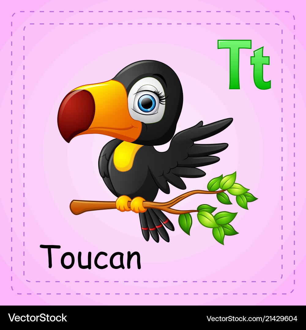 Flashcards Feather Vector Images (49)