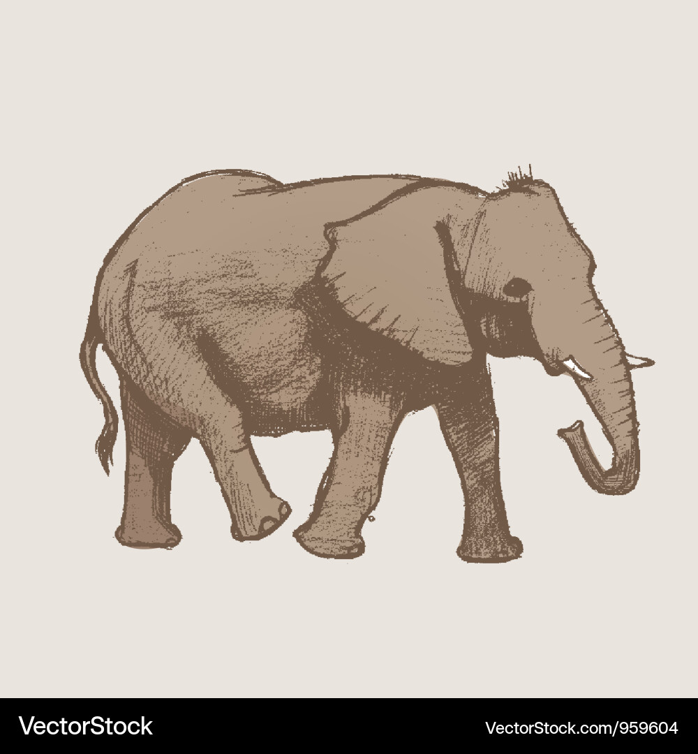 Elephant Royalty Free Vector Image - VectorStock