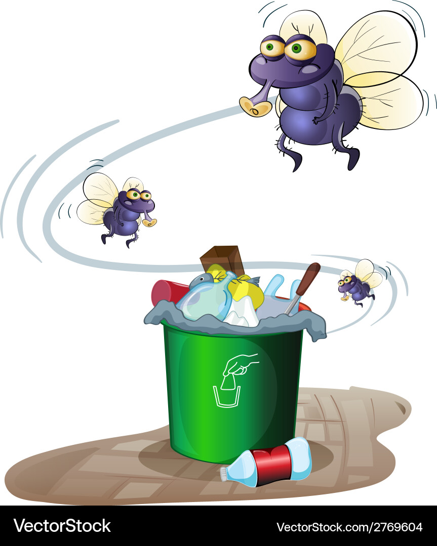 Garbage and flies Royalty Free Vector Image - VectorStock