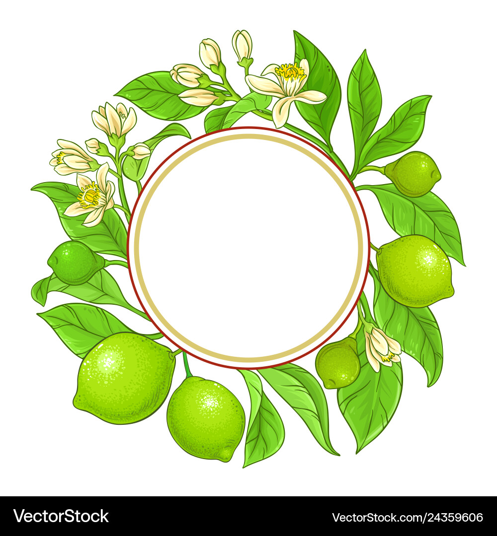 Lime branches frame on white background Royalty Free Vector