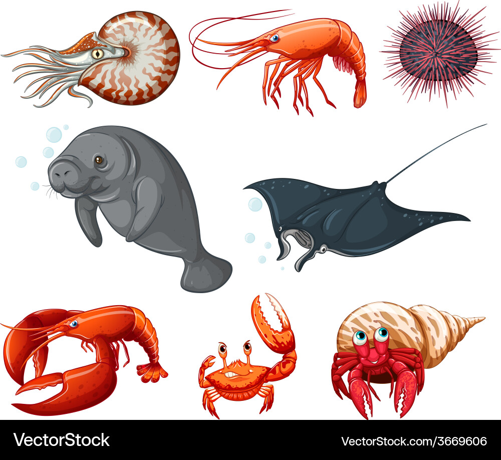Sea animals Royalty Free Vector Image - VectorStock