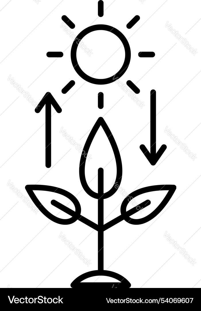 Photosynthesis line icon design Royalty Free Vector Image