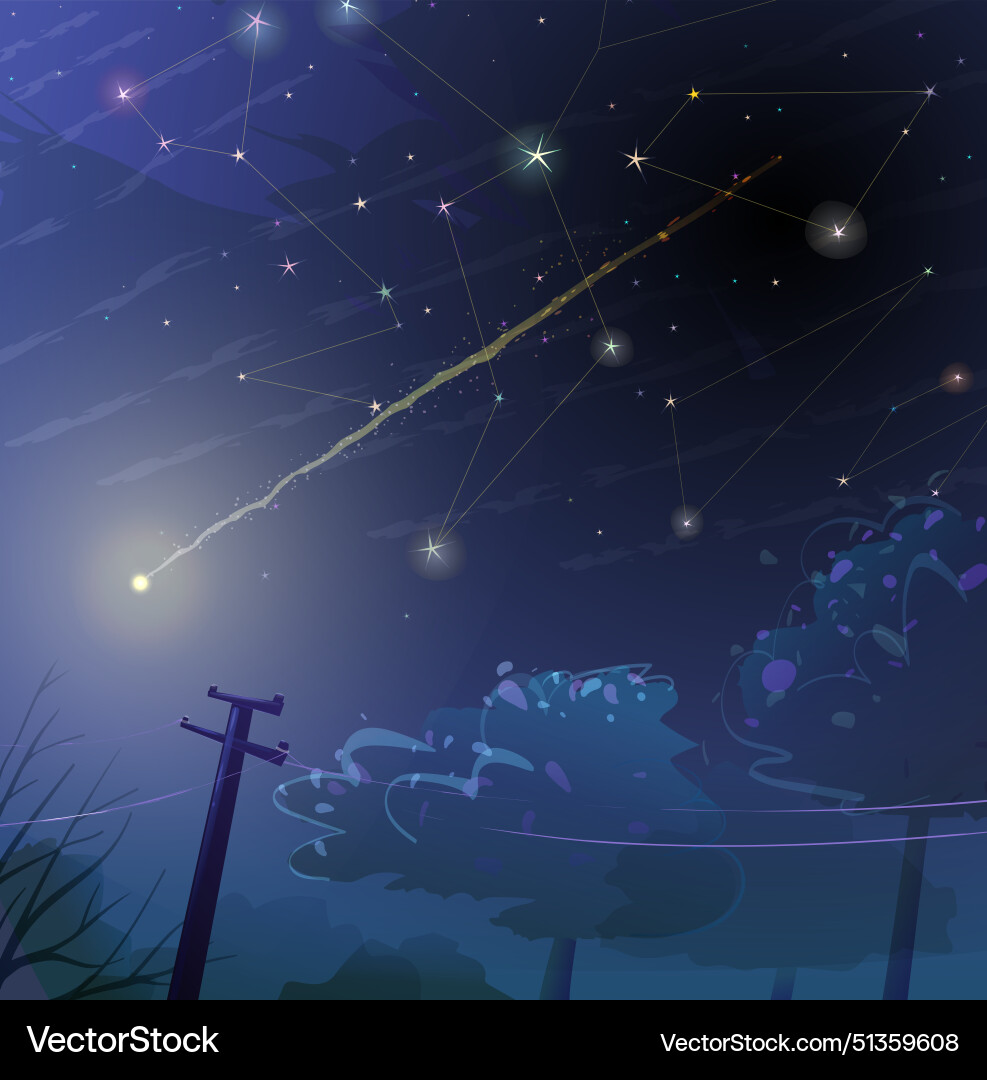 Country dark night constellations in starry sky Vector Image
