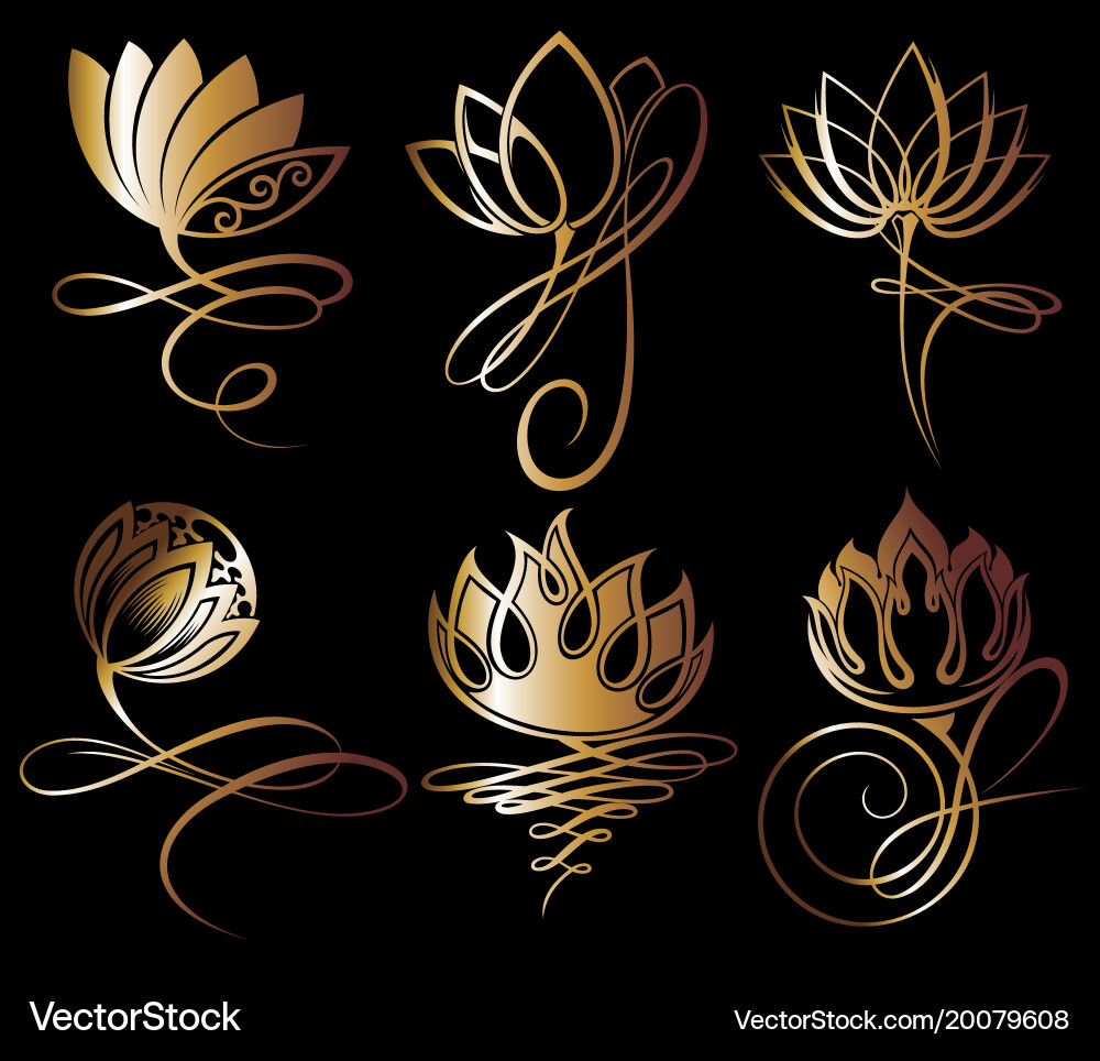Lotus flowers Royalty Free Vector Image - VectorStock