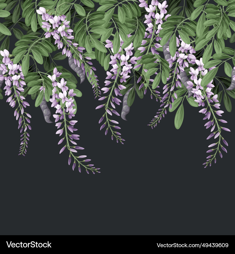 Border with acacia flowers and leaves Royalty Free Vector