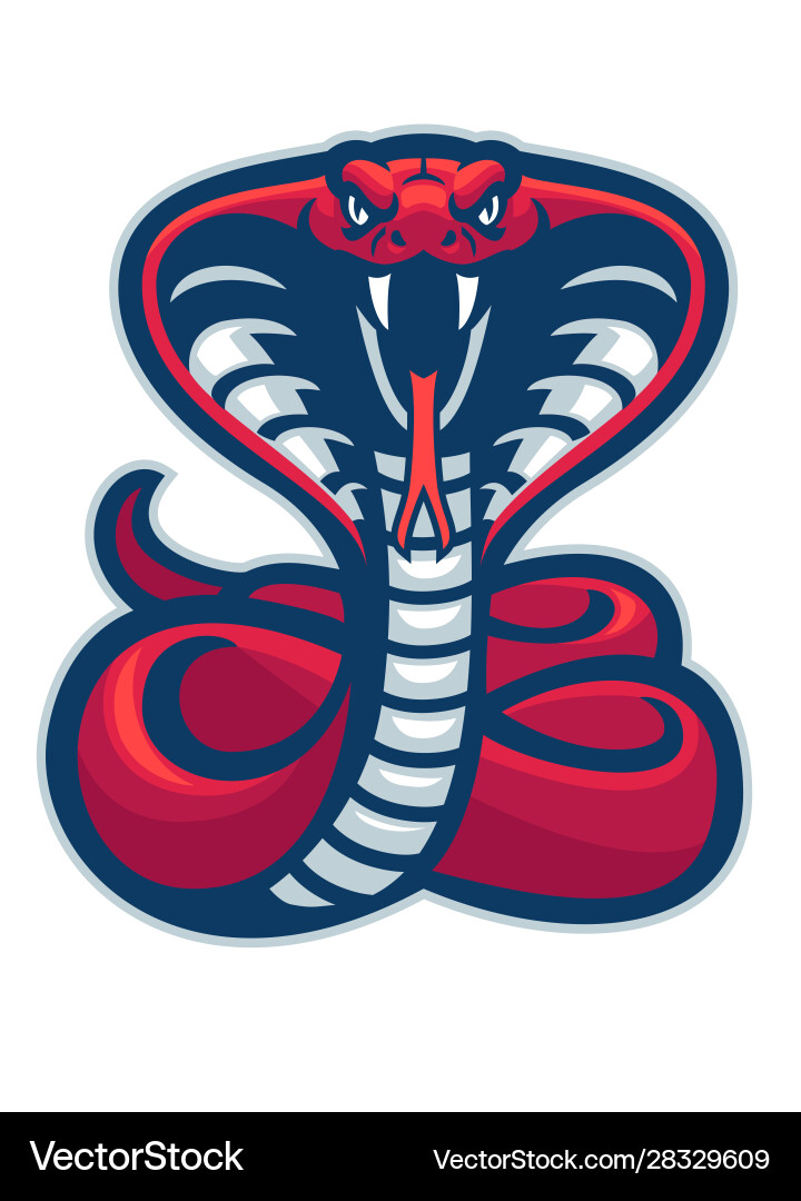 Cobra snake mascot ready to attack Royalty Free Vector Image
