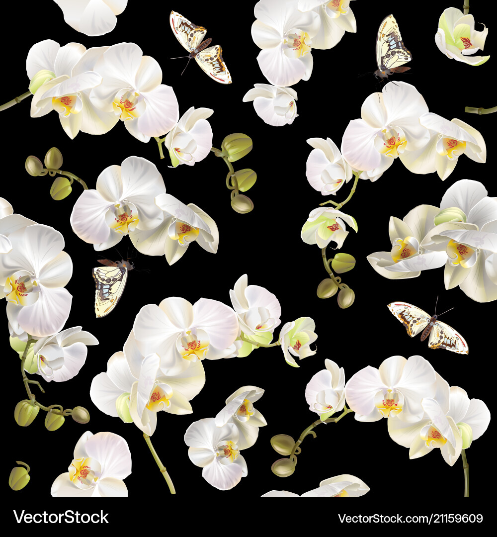Floral orchid pattern Royalty Free Vector Image