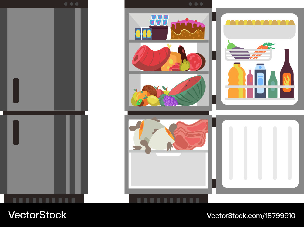 Open and close refrigerator kitchen fridge Vector Image