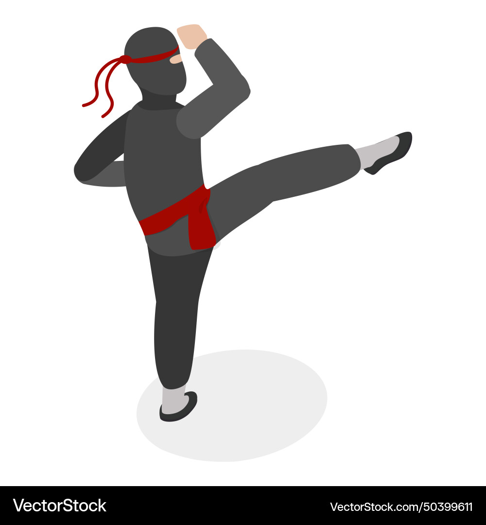 3d isometric flat set of ninja warriors Royalty Free Vector