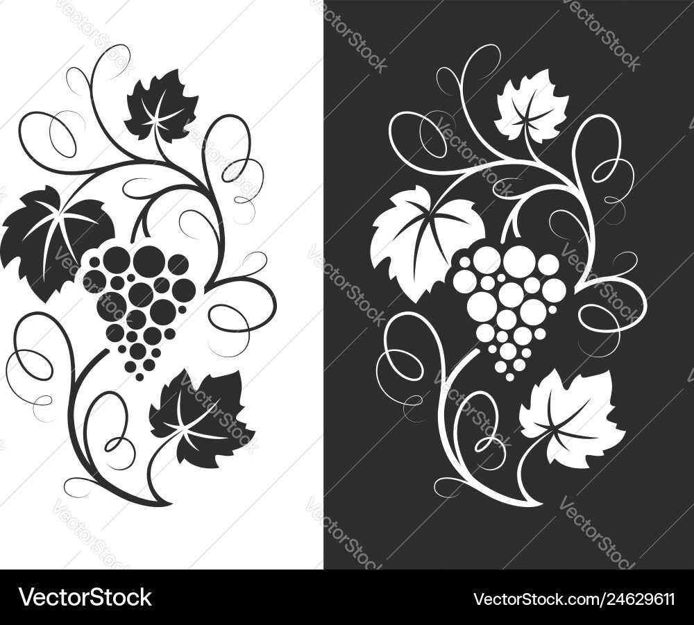 Grapes decorative pattern Royalty Free Vector Image