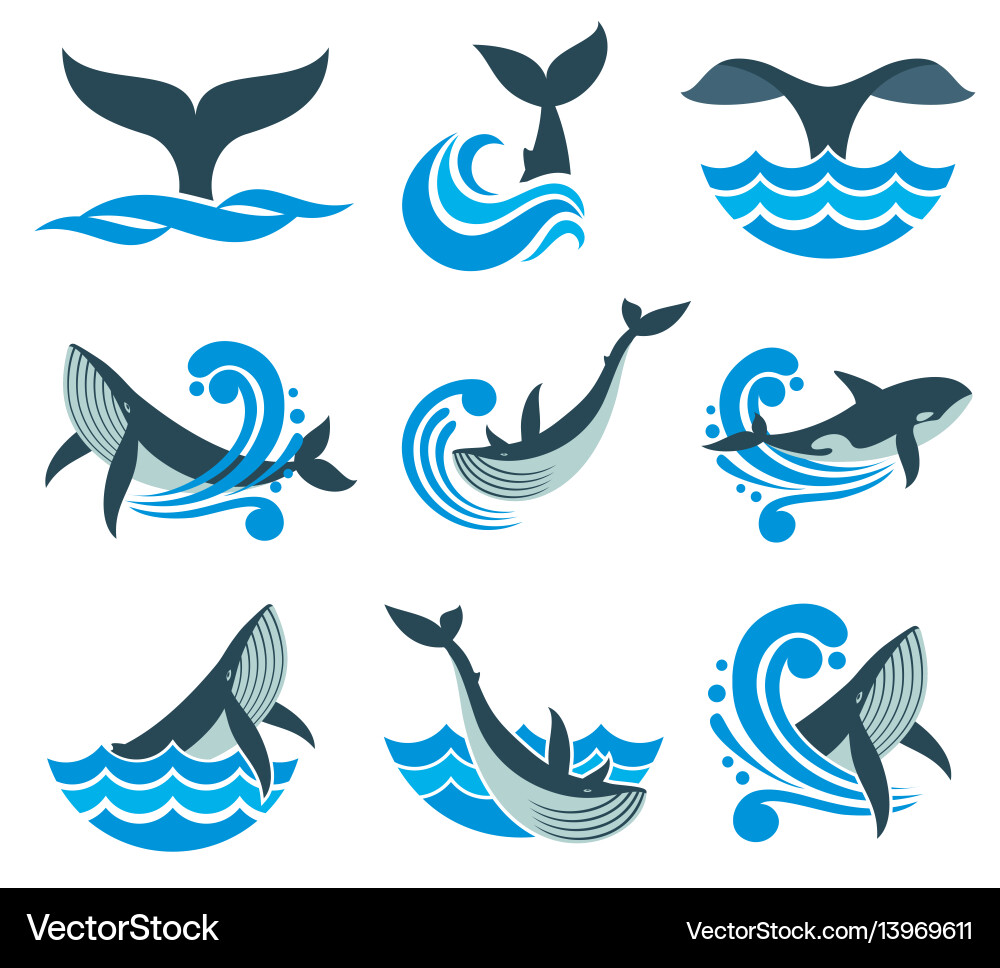 Whale Vector Images (over 41,000)