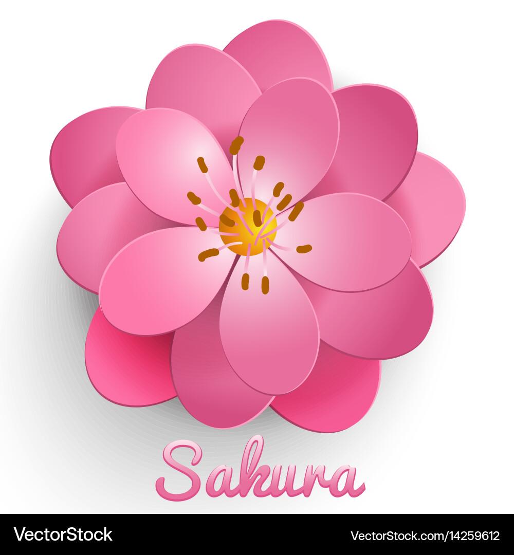 Isolated paper cut sakura flower Royalty Free Vector Image
