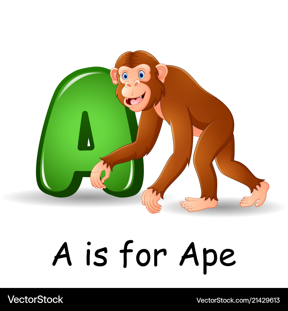 Animals alphabet a is for ape Royalty Free Vector Image