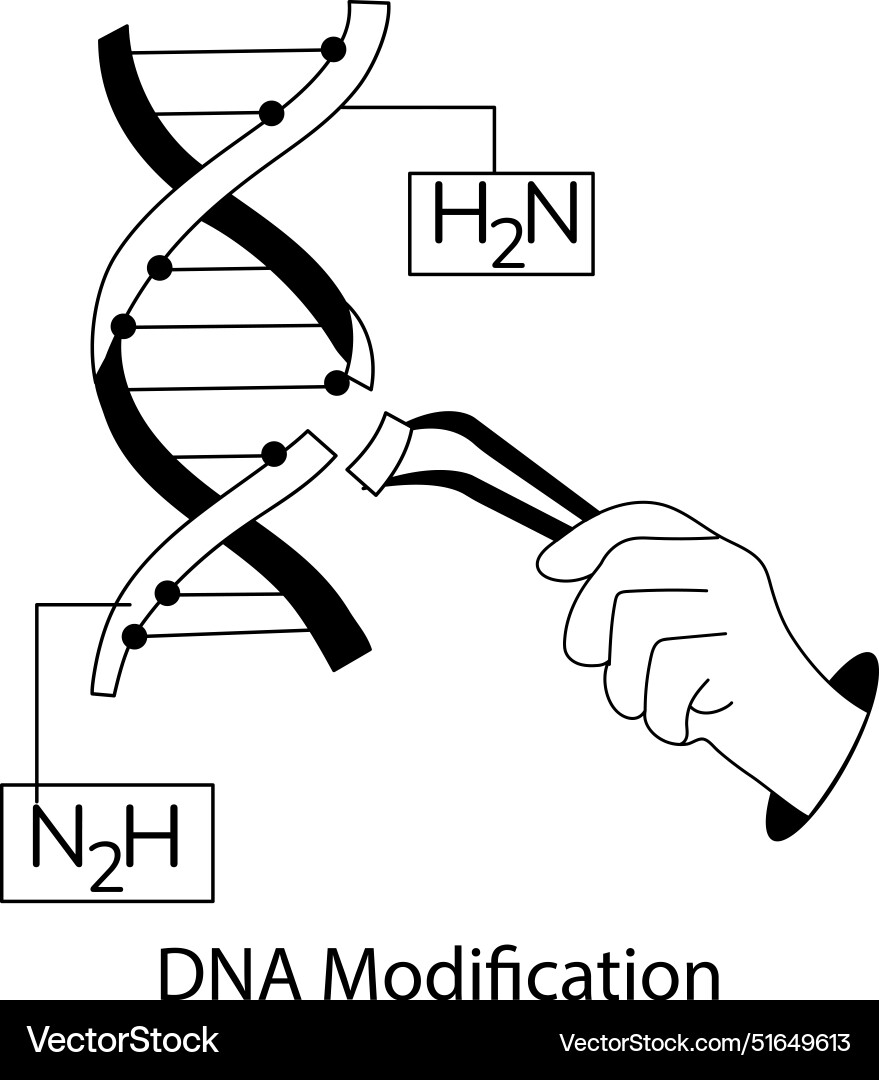 Dna modification Royalty Free Vector Image - VectorStock