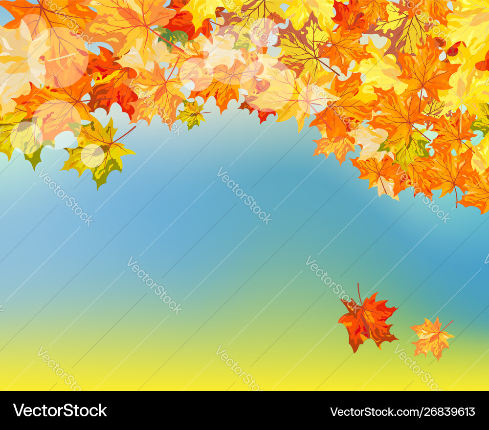 Fall autumn background Royalty Free Vector Image