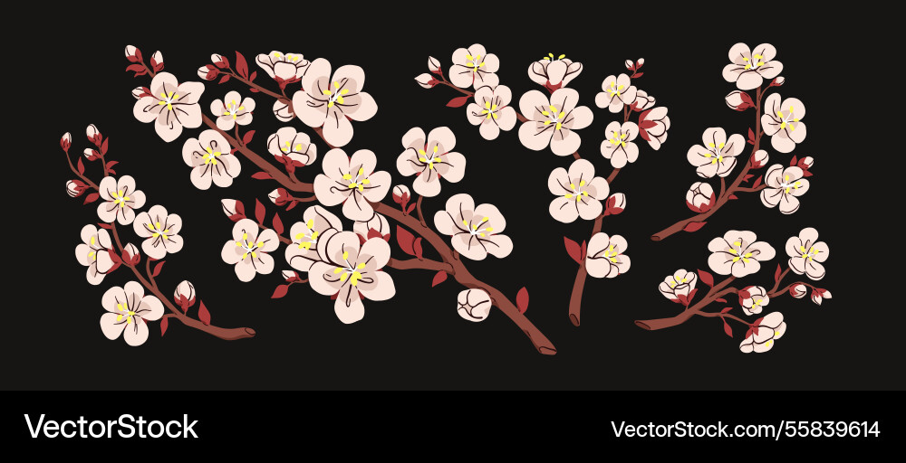 Blossomed apricot branches set delicate spring Vector Image