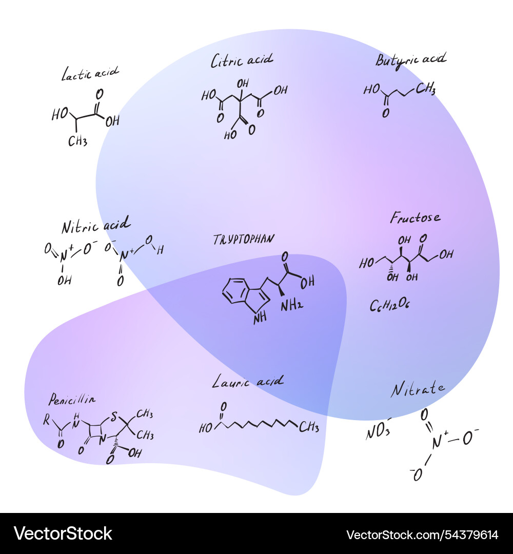 Hand drawn chemistry formula set sketched Vector Image