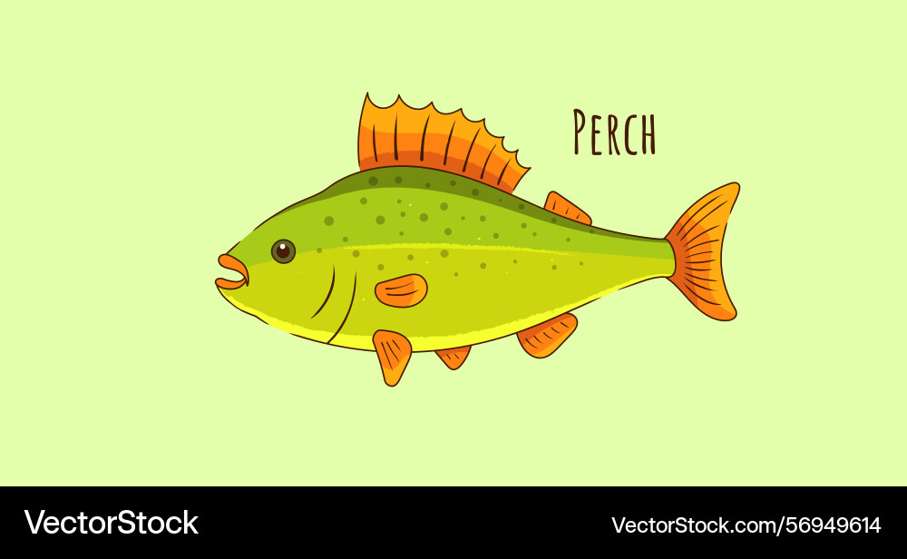 Hand drawn perch fish Royalty Free Vector Image