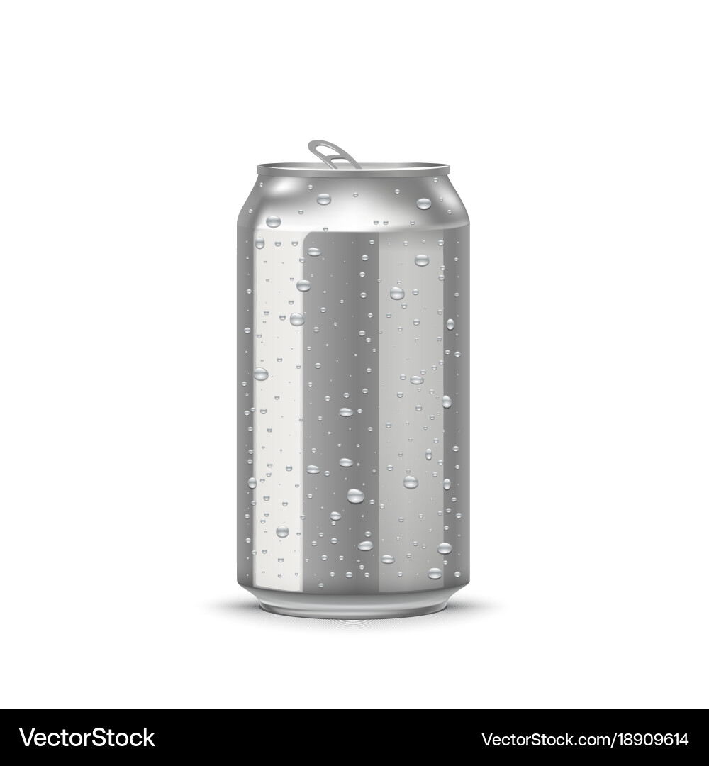 Realistic aluminum cans Royalty Free Vector Image
