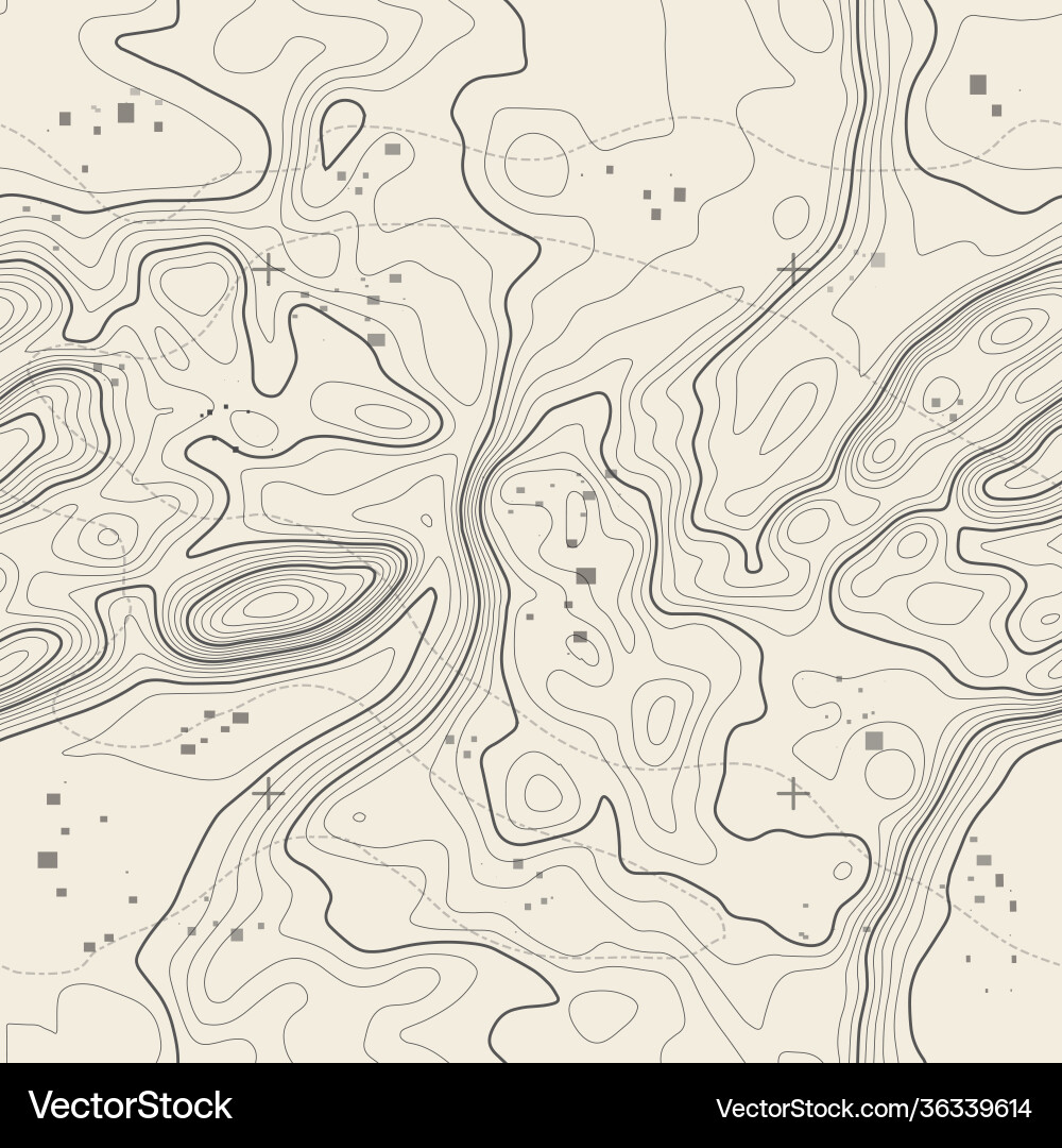 Seamless topographic map background line Vector Image