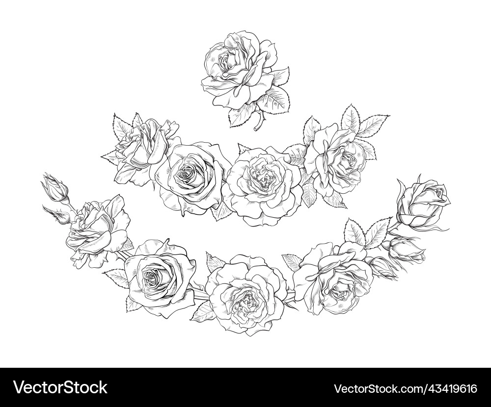 Floral Rose Garlands - Botanical Art Royalty Free Vector