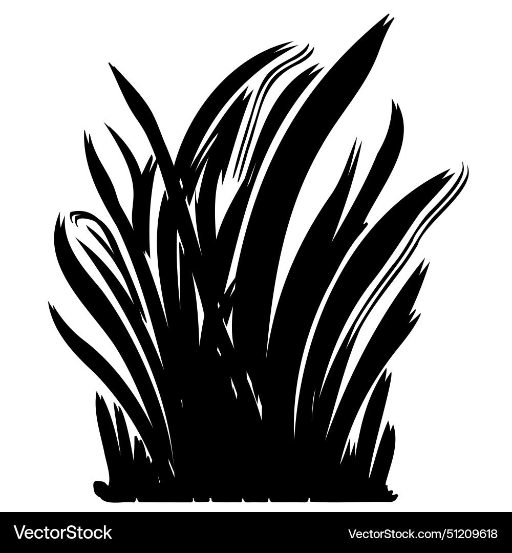 Grass garden sketch hand draw Royalty Free Vector Image