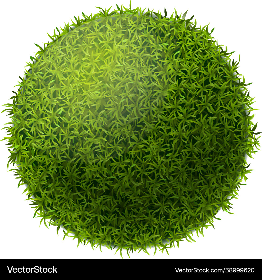 Ball shaped lawn composition Royalty Free Vector Image