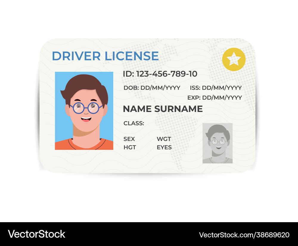 Fahrer lizenzieren eine Plastik-Identitätskarte Vektorbild