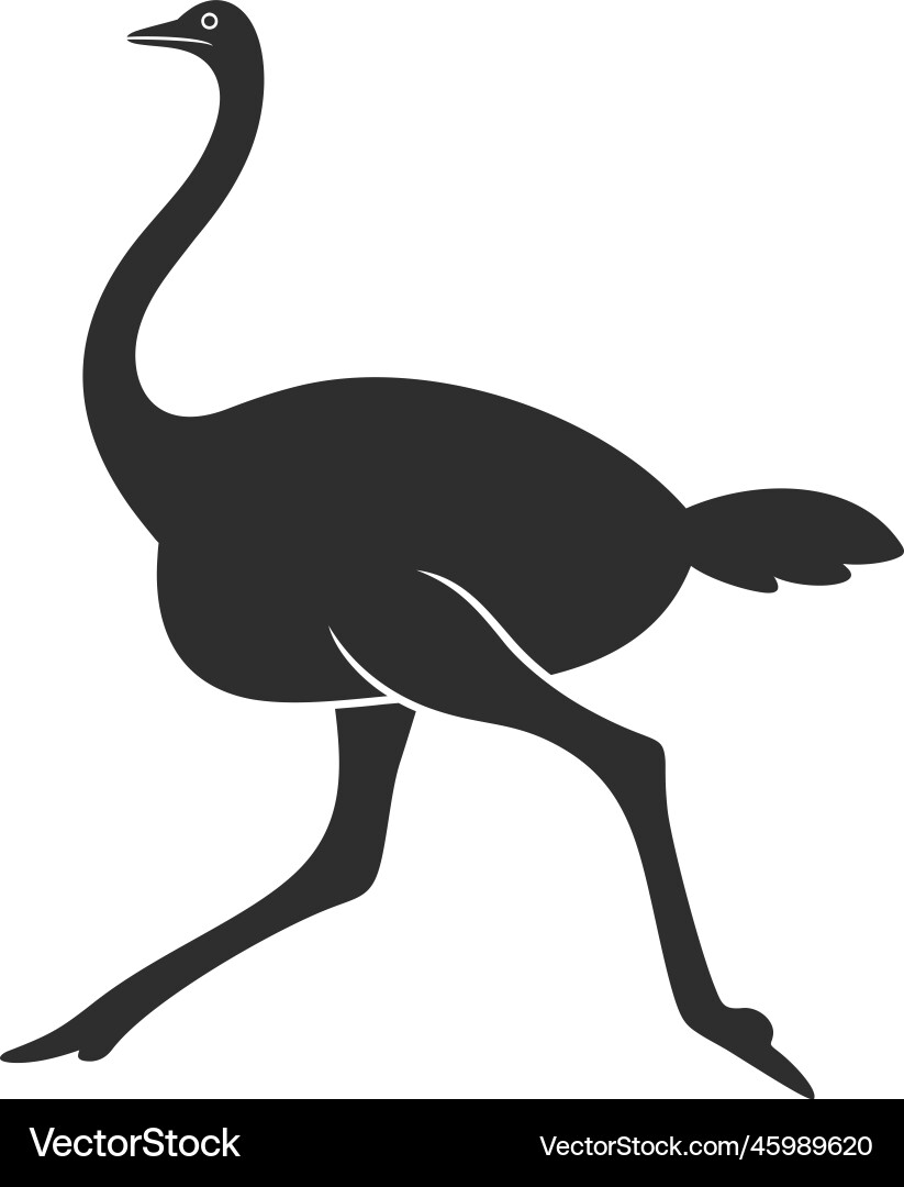 Ostrich Royalty Free Vector Image - VectorStock