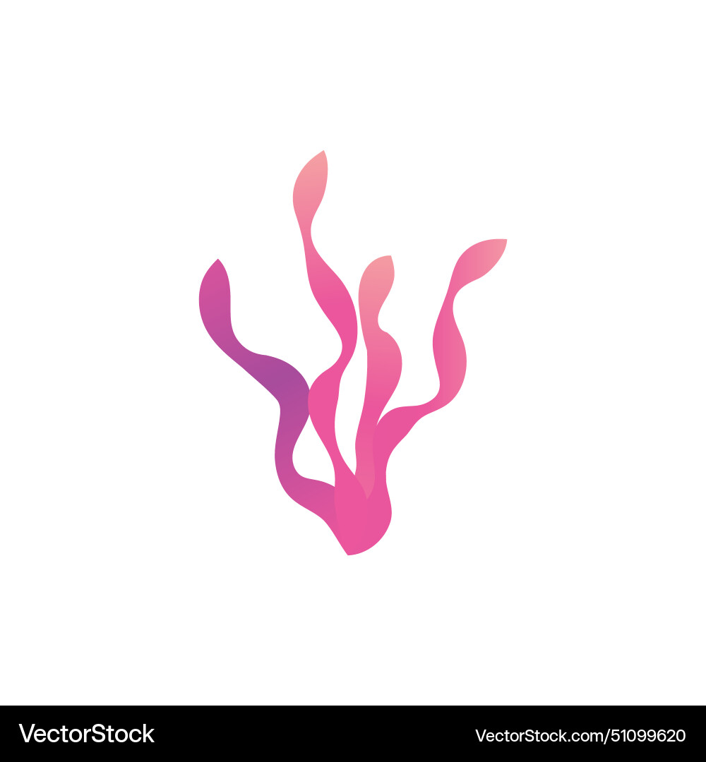 Pink seaweed as useful food Royalty Free Vector Image