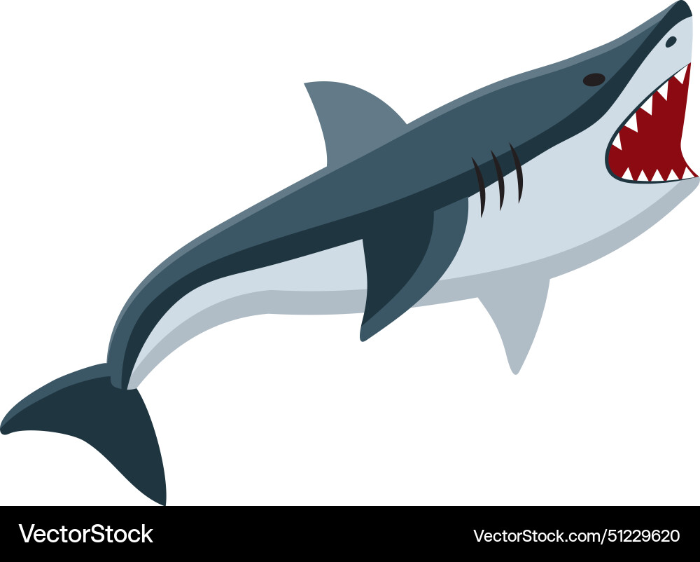 Shark marine animal Royalty Free Vector Image - VectorStock