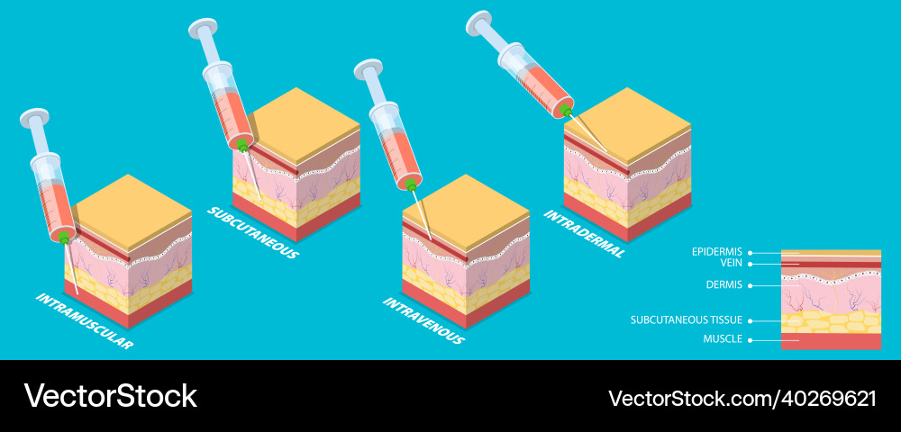 Intramuscular Injection Vector Images (over 400)