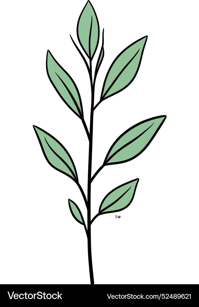 Botanical odyssey journeying through plant flo Vector Image