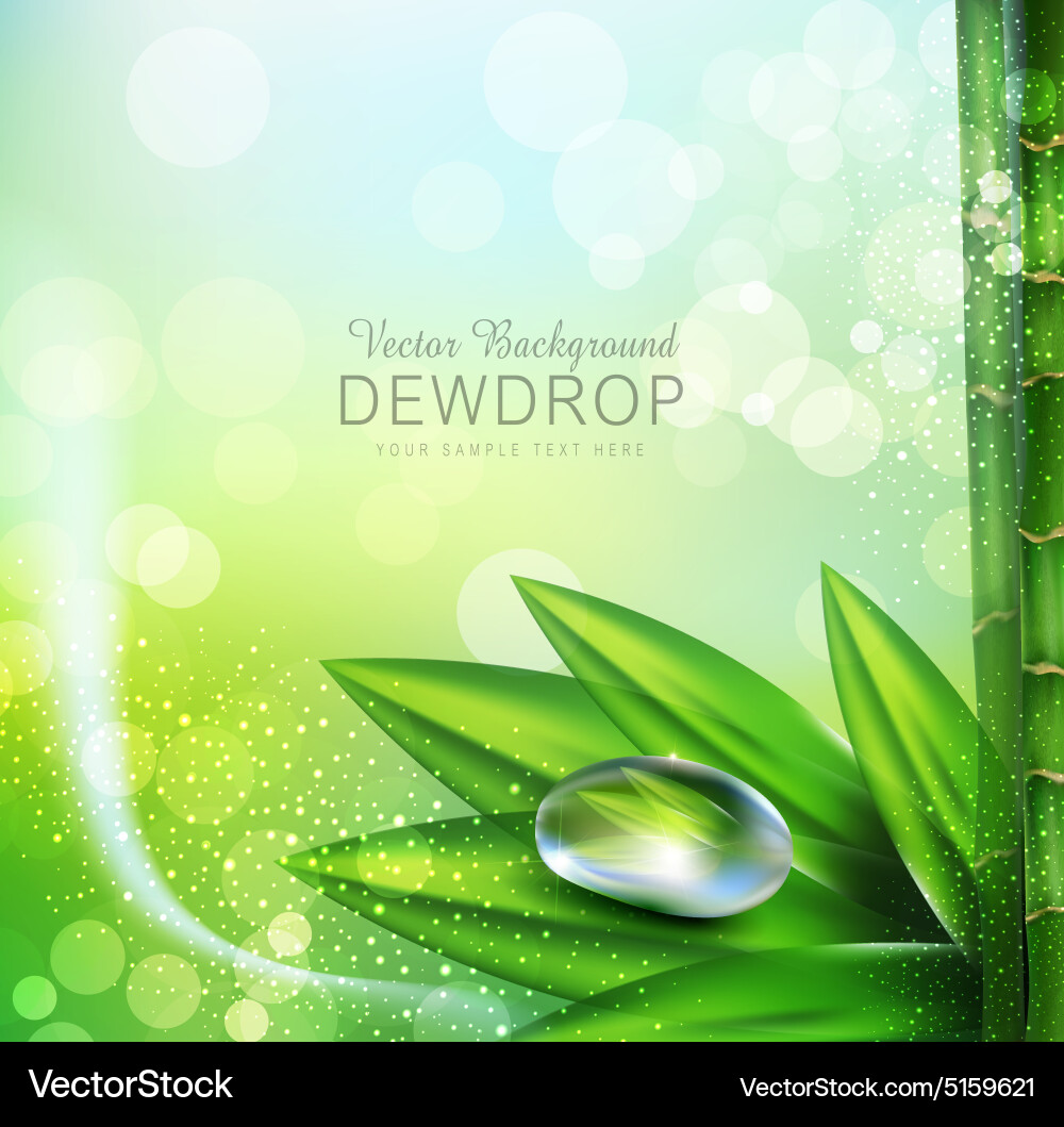 Green background with leaves and dew drops Vector Image