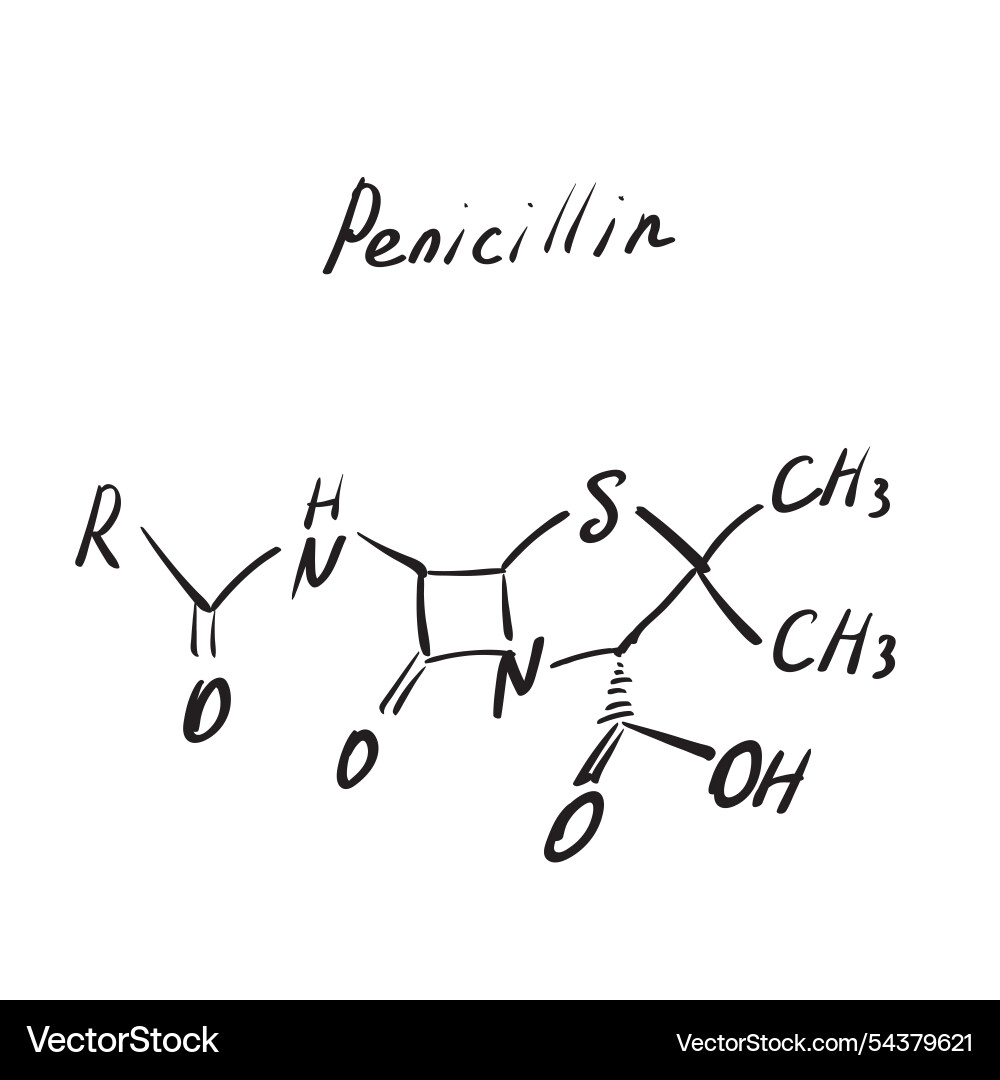 Penicillin c16h18n2o4s molecule formula hand Vector Image