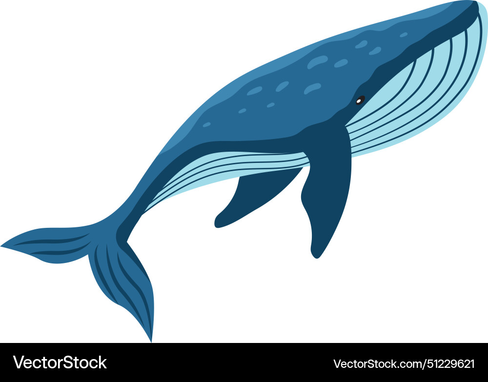 Whale animal underwater Royalty Free Vector Image