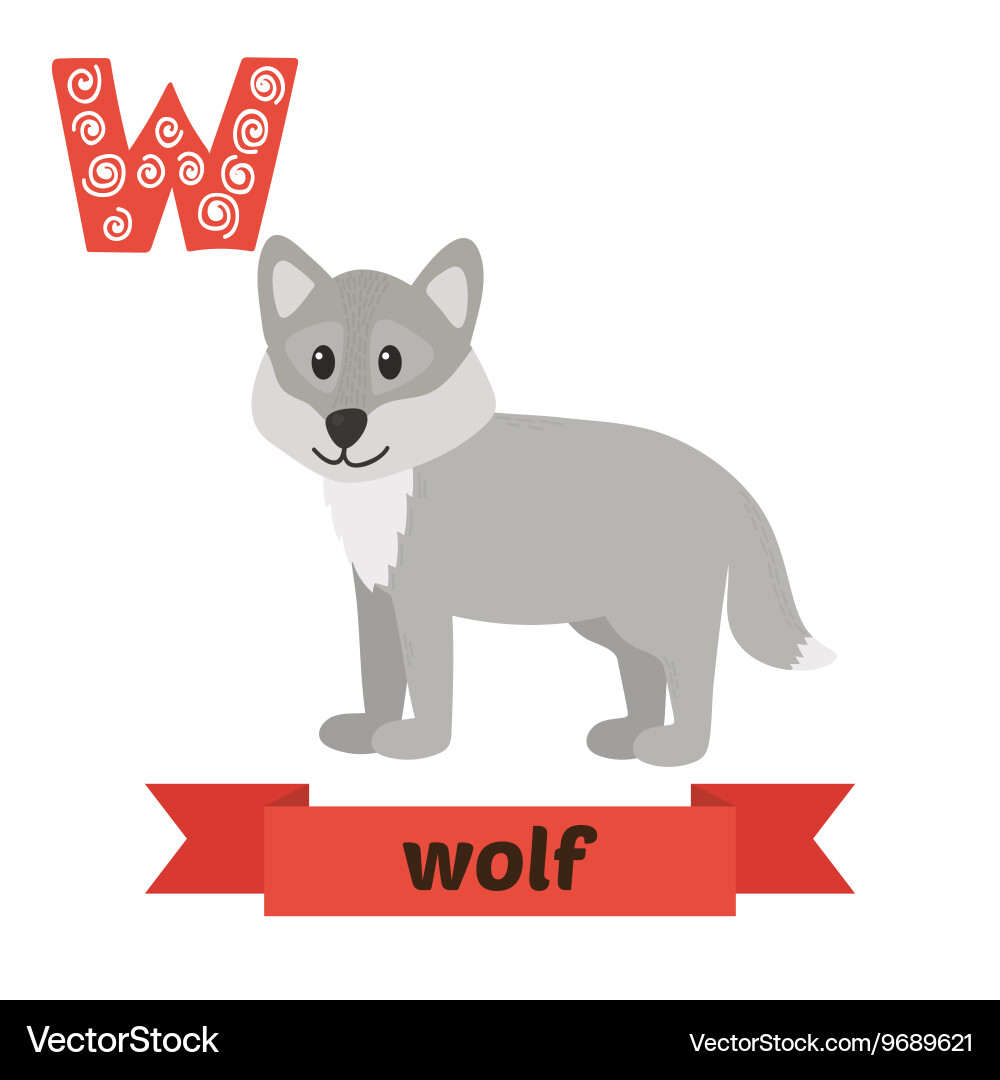 Wolf w letter cute children animal alphabet Vector Image