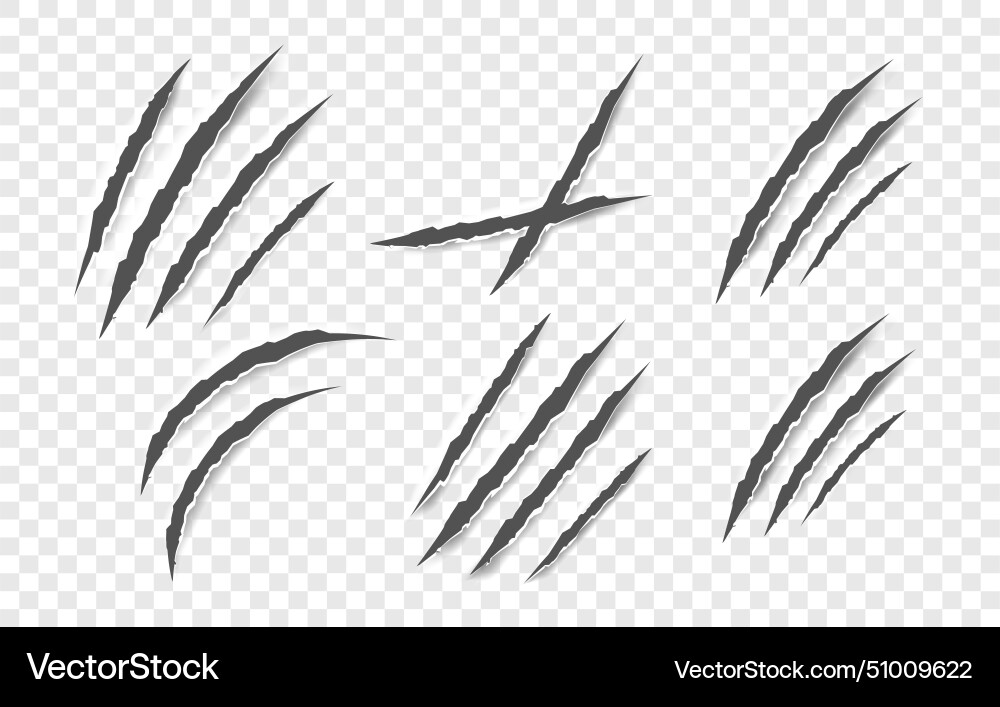 Black claw scratches - isolated claws Royalty Free Vector
