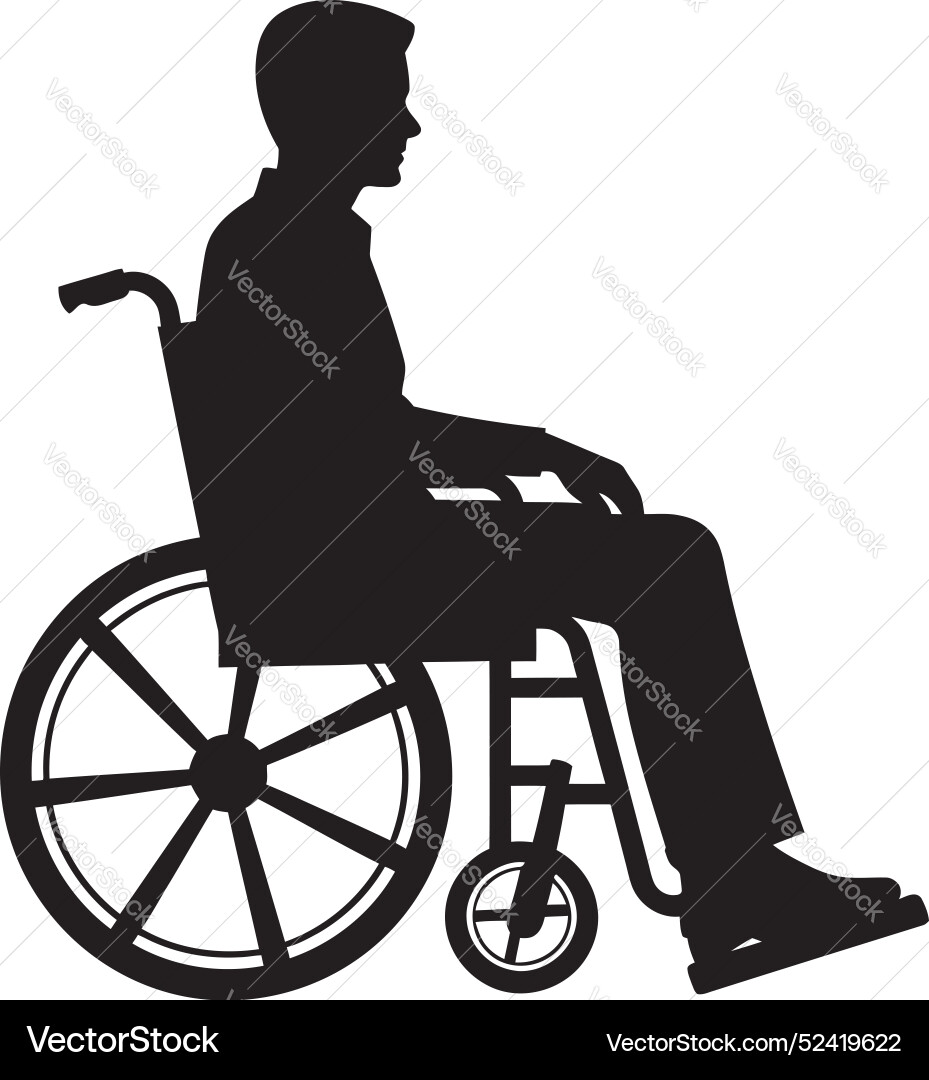 Inclusivity paths wheelchair empowerment journey Vector Image