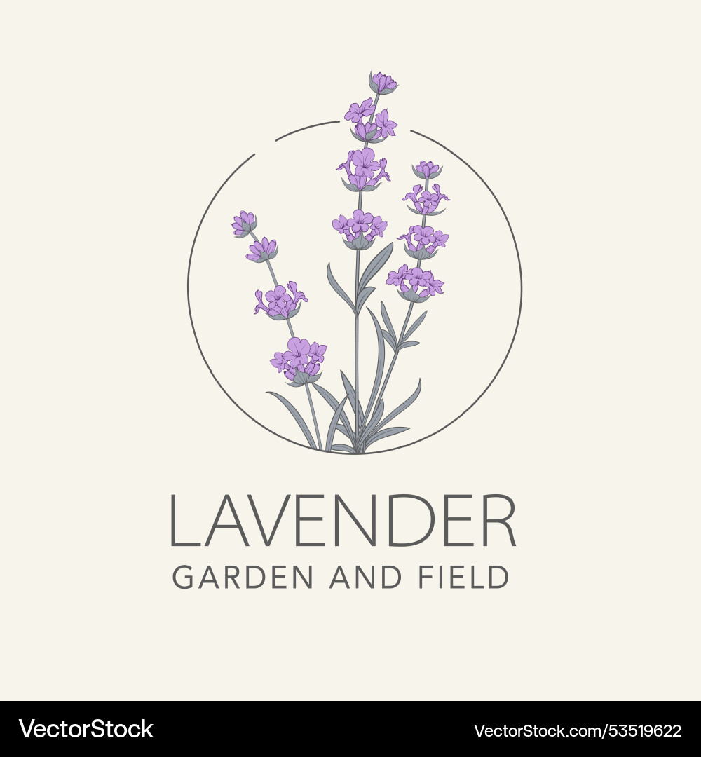 Lavender flower logo floral design label Vector Image