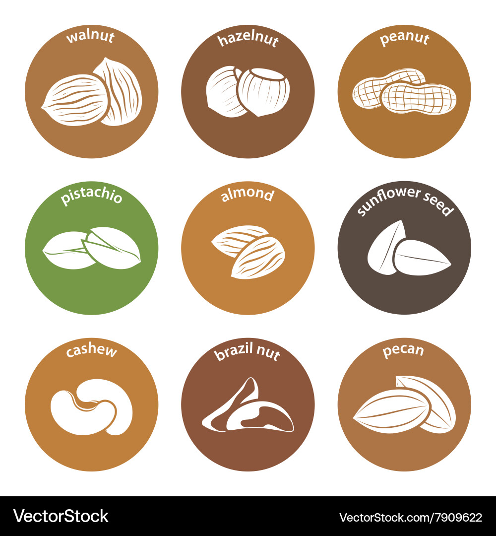 Nuts-Symbol-Set Lizenzfreies Vektorbild - VectorStock
